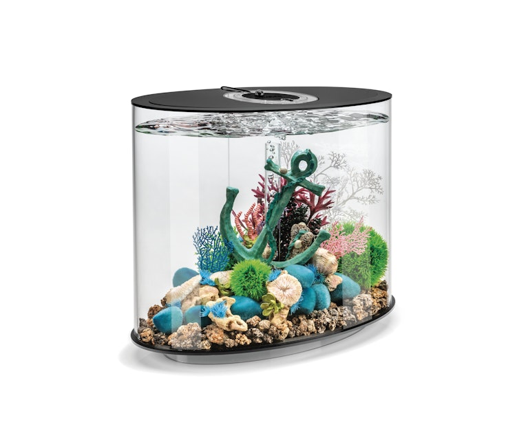 BiOrb Aquarium LOOP 30 LED online kaufen